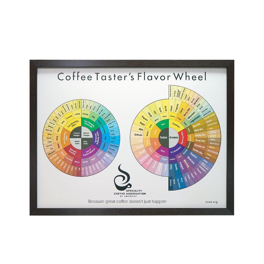 Poster พร้อมกรอบรูป Flavor Wheel / Greenbean Defect – Intercof ...